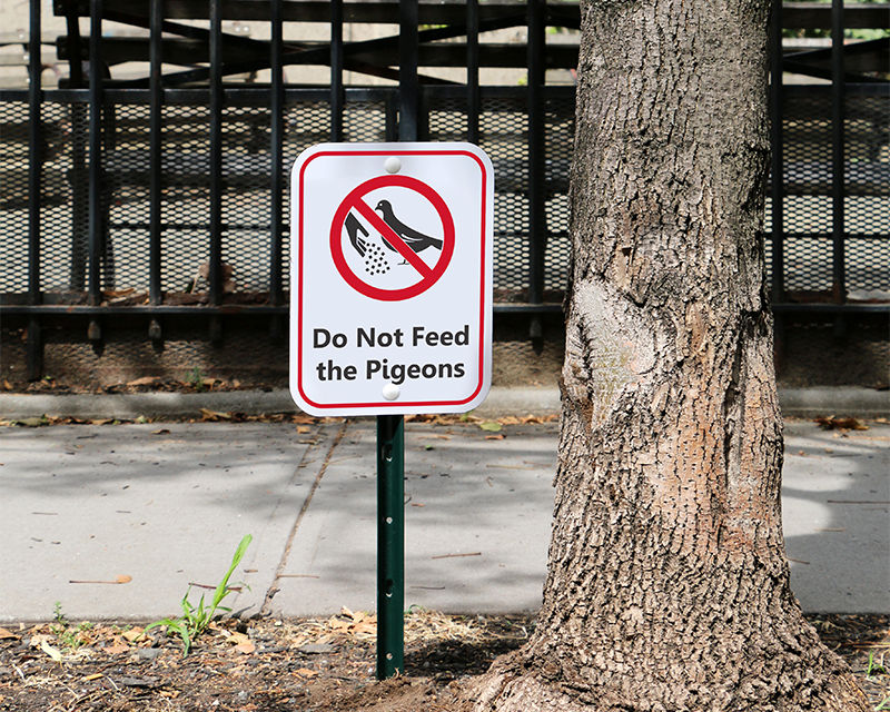 Do Not Feed Pigeons Sign - MySecuritySign